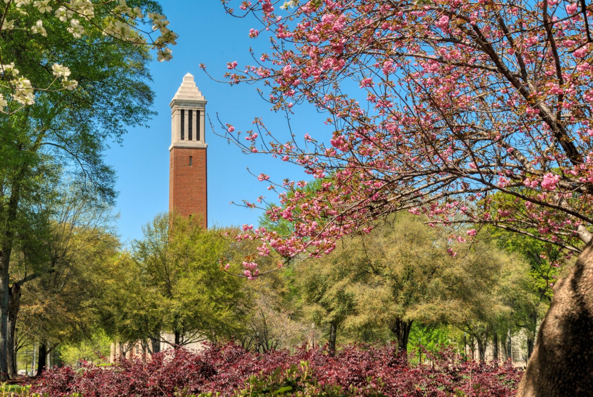 Local People. Local Decisions. | Local Bank